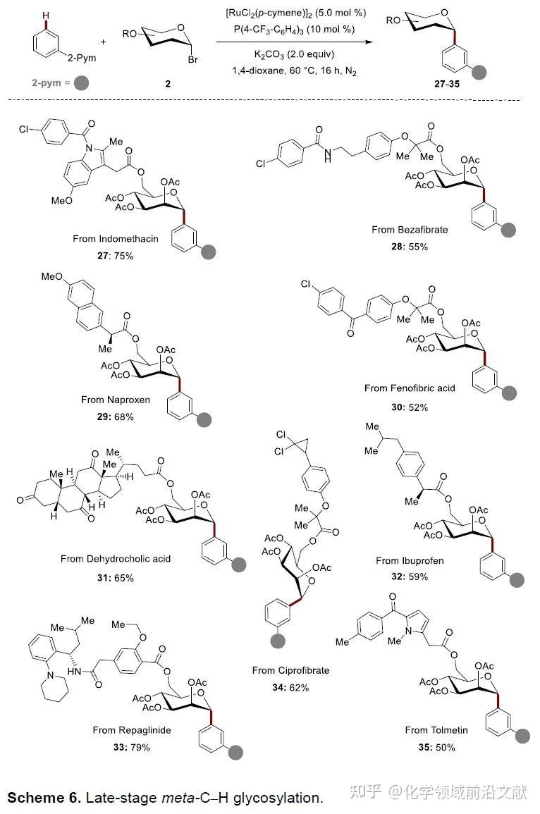 【Angew. Chem.】Ru(II)催化间位C-H糖基化反应：模块化合成间位C-Ar糖苷 - 知乎