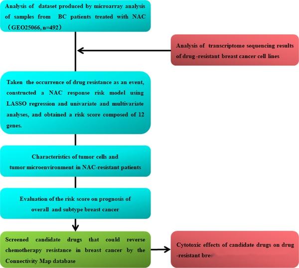 肿瘤耐药自测数据+公共数据生信分析，双剑合璧不蹭热点也能拿下8分+！耐药生信新思路，速上车 - 知乎