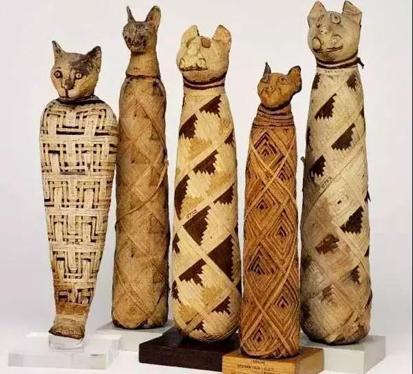 古埃及人戴假发、沉迷撸猫、男女化妆， 4000多年前，他们就活得比我们溜 - 知乎