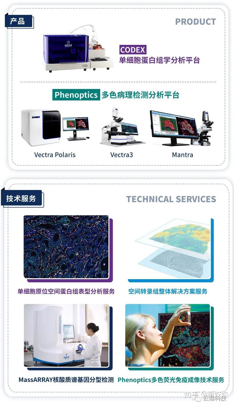 遇见CODEX|一文详解CODEX单细胞空间蛋白组学分析平台技术原理 - 知乎