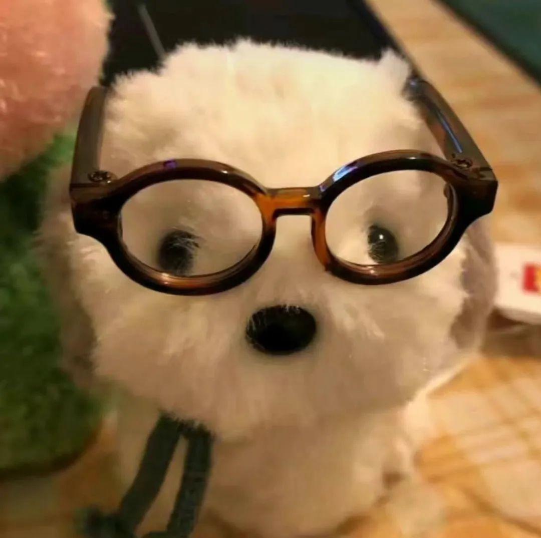 头像 | 稀奇古怪神经头像 - 知乎