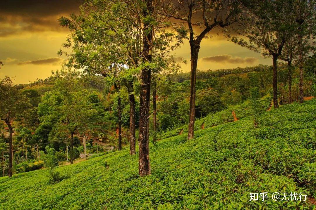 今年想去斯里兰卡怎么玩？ - 知乎