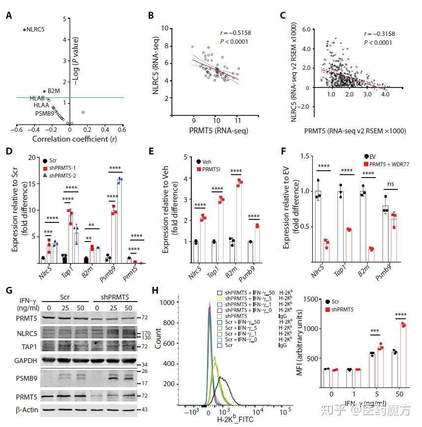PD-1抗体“新搭档”——PRMT5抑制剂 - 知乎