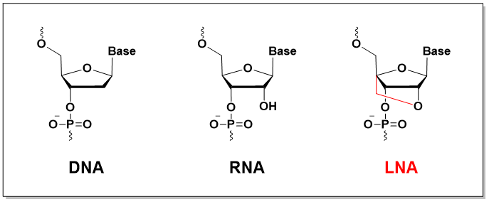 锁核酸：LNA - 知乎