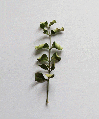 Design for Death，我们聊一聊死亡设计 - 知乎