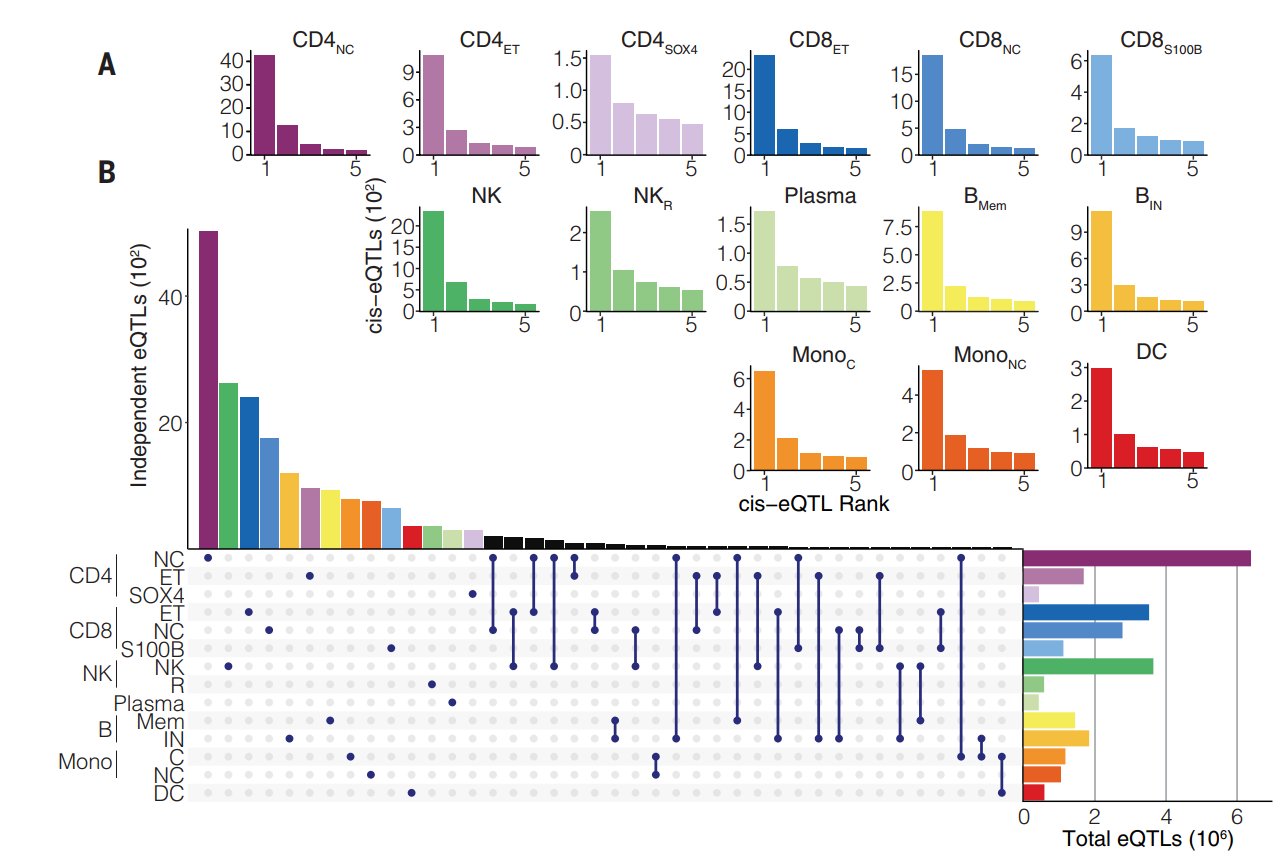 OneK1K——群体单细胞eQTL研究 - 知乎