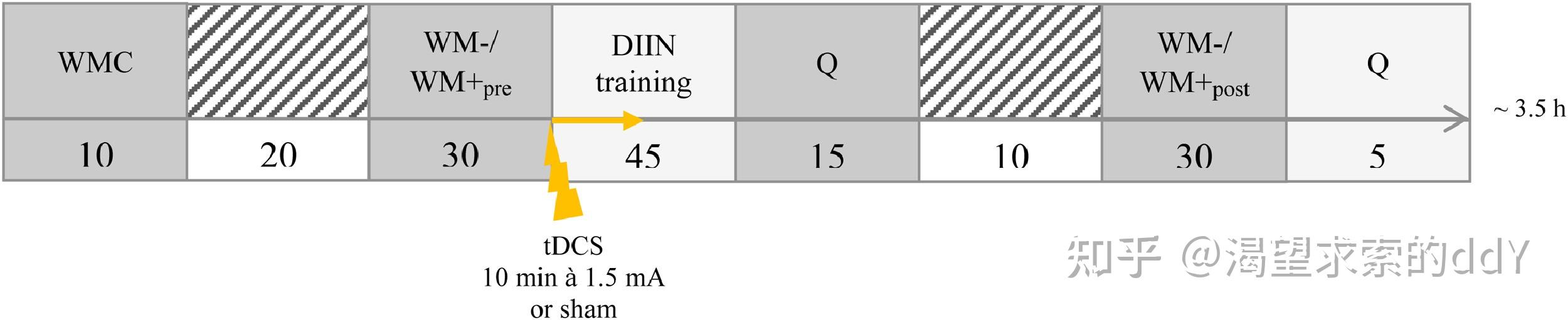 21天文献共读挑战，Day 8：tDCS会让工作效率高的人更高效？ - 知乎