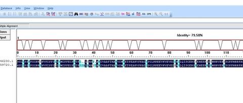 详解多序列比对软件Jalview的使用方法，美化-编辑-自定义设计 - 知乎