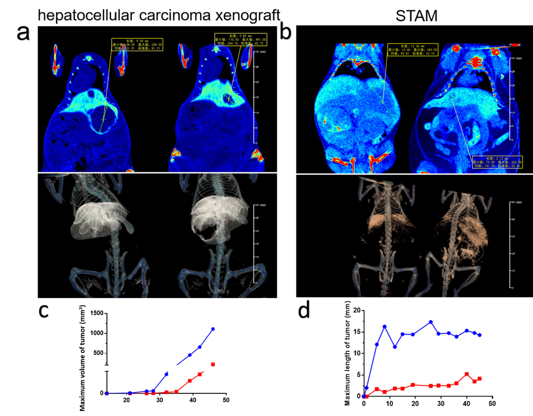 药效纵向研究新利器？Micro-CT影像技术在药物临床前小鼠药效模型上的应用 - 知乎