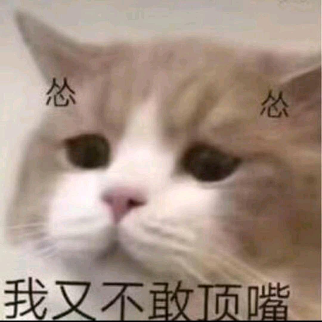 大家,有没有猫的沙雕表情包? 知乎