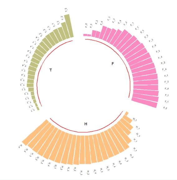 R可视化——一文带你打通ggplot2个性化绘制柱状图（条形图）！！！ - 知乎