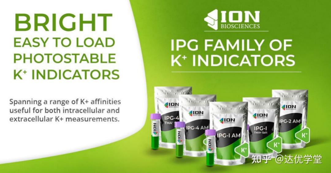 全方位完善细胞钠、钾离子(通道)检测 - 知乎