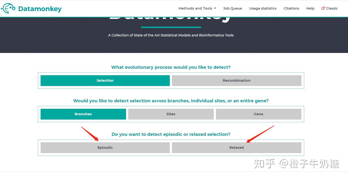 简单易懂的在线网站datamonkey：支系、基因、位点的选择压力检测 - 知乎