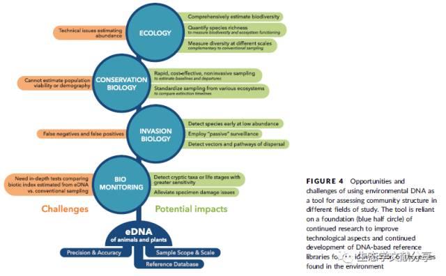 综述：环境DNA（eDNA)宏条形码助力生物多样性研究 - 知乎