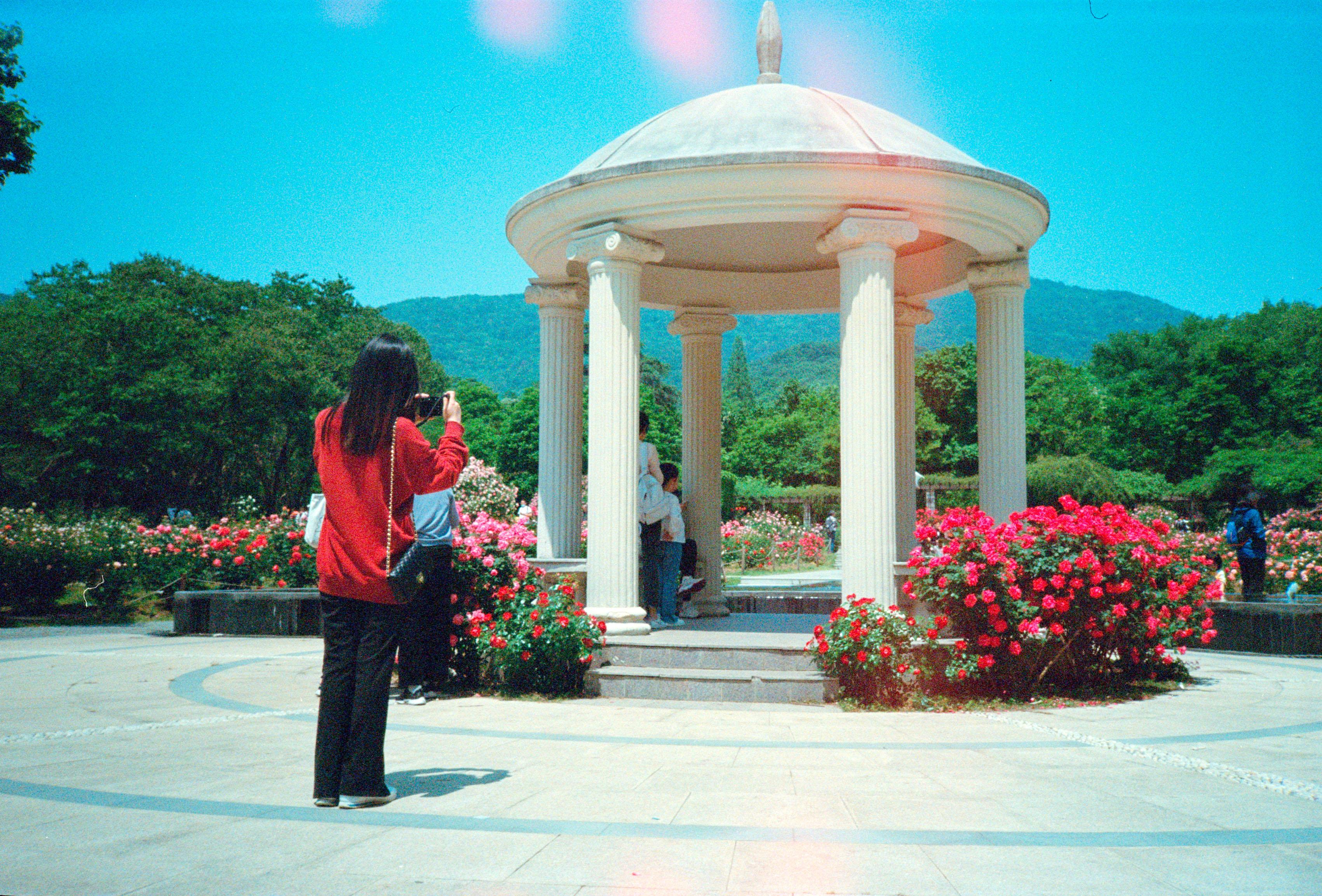 Kodak UltraMax 400 胶片拍摄指南 - 知乎