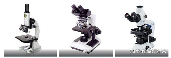 显微基础丨④目镜、观察头以及摄影 - 知乎