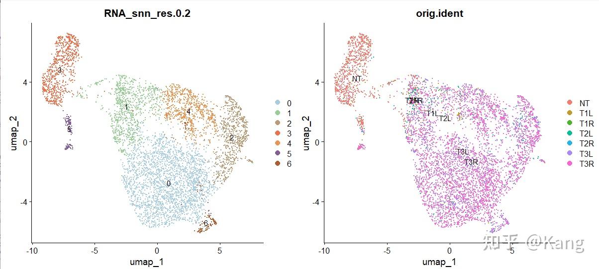 单细胞转录组分析流程八（inferCNV，inferCNV score） - 知乎