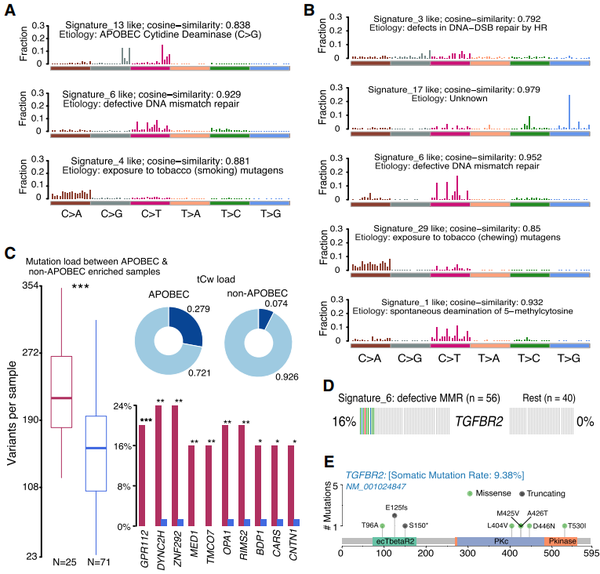 一文学会R包 maftools 简介使用 - 知乎