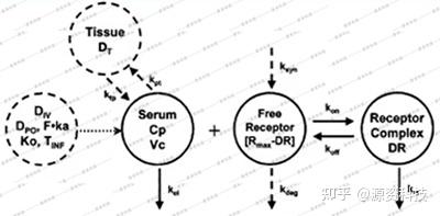 WinNonlin案例：PML系列（2）——靶点介导的药物处置模型（TMDD） - 知乎