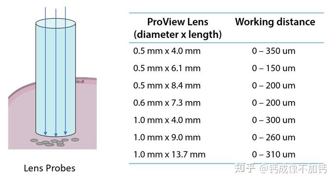 如何挑选合适的自聚焦透镜（Grin Lens）? - 知乎