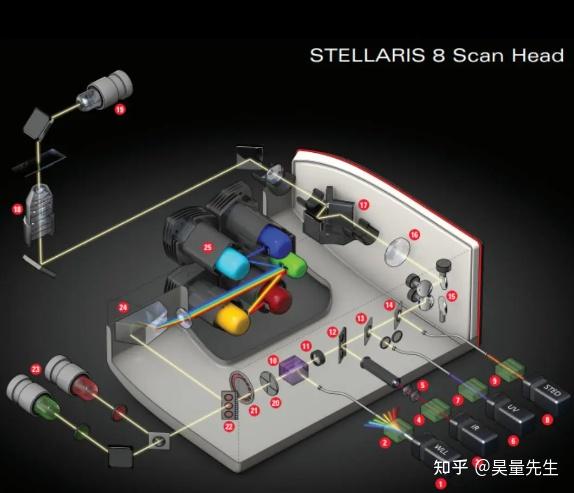 看声光可调谐滤波器（AOTF）如何增强共聚焦显微镜的多功能性 - 知乎