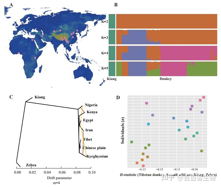 SLAF又双叒叕添新作了！SLAF遗传图谱助力解析云南红萝卜花青素合成遗传调控机制 - 知乎
