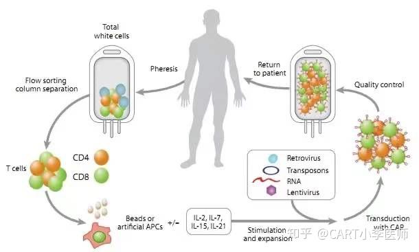 CART的治疗流程是什么？ - 知乎