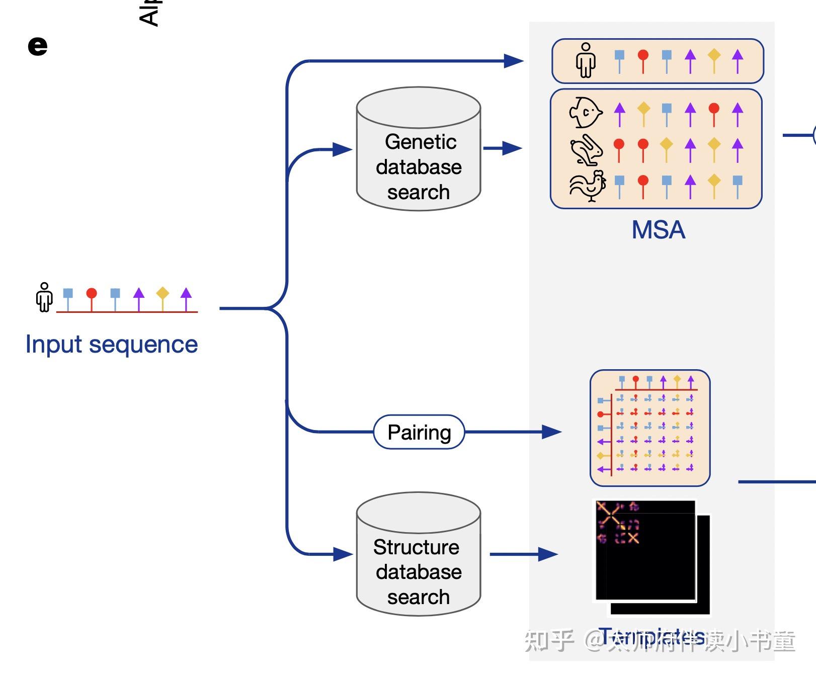 GoDeep系列（十）：AlphaFold 2模型结构拆解（框架） - 知乎