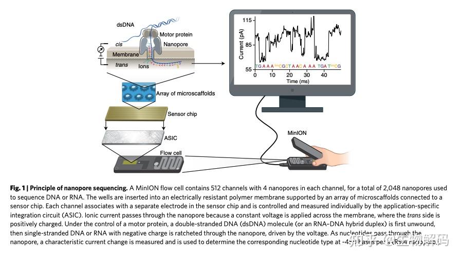 每日文摘 | 2021年12月10日 - 知乎