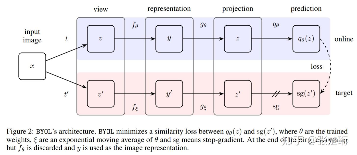 【深度学习 138】BYOL - 知乎