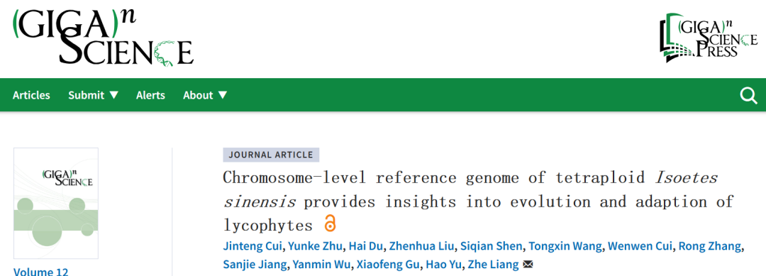 GigaScience | 中国农科院生物所/北京农学院破译“植物界大熊猫”中华水韭基因组 - 知乎