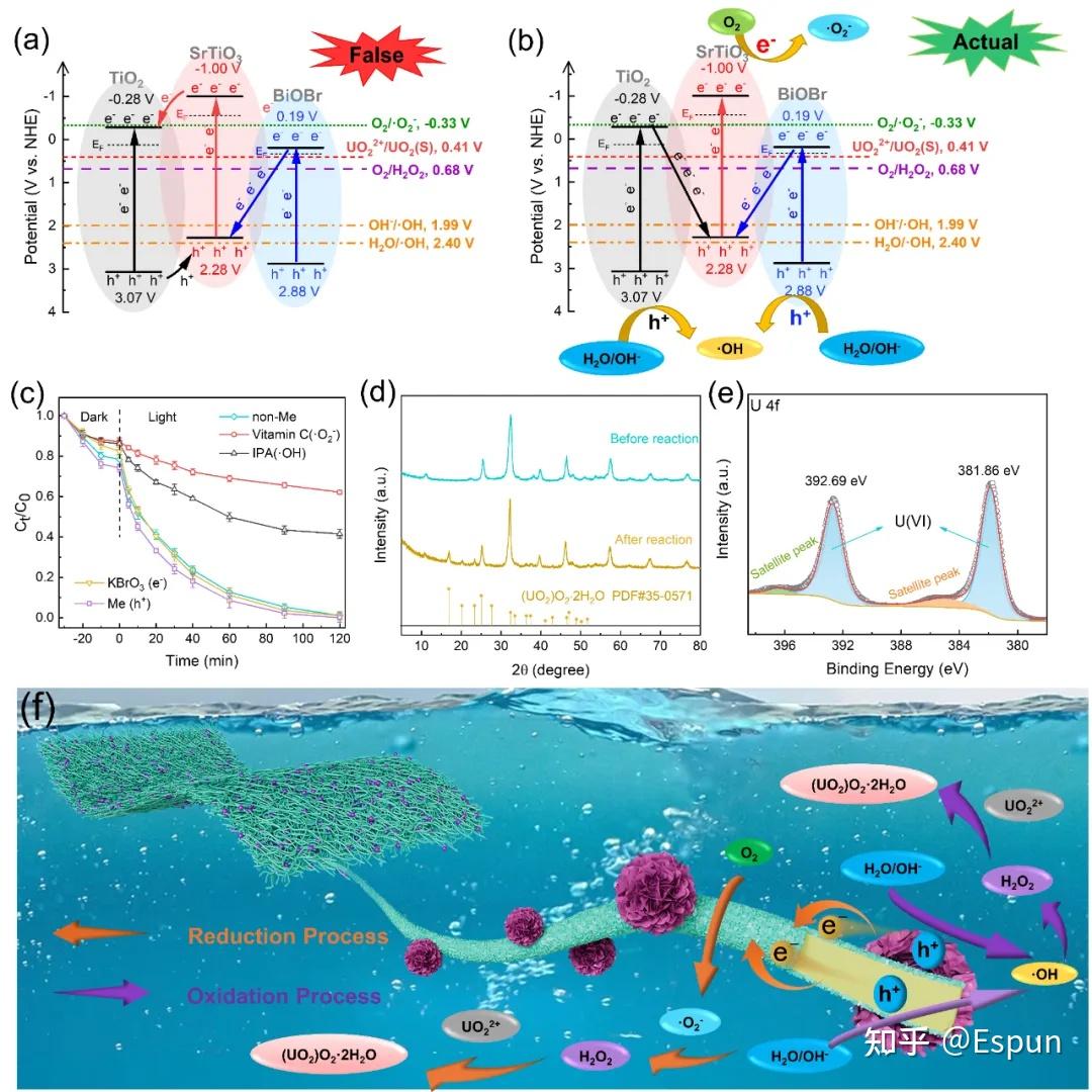 广西大学王欣鹏教授：设计拥有空间双氧化位点的柔性TiO2/SrTiO3/BiOBr可回收纤维膜，用于可见光光催化提铀 - 知乎