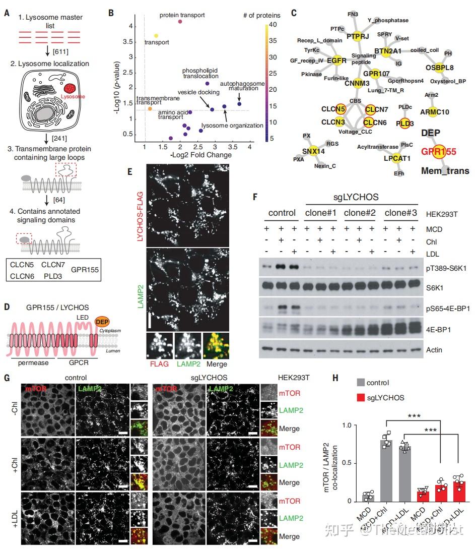 代谢学人--Science：LYCHOS--胆固醇的神秘感受器 - 知乎