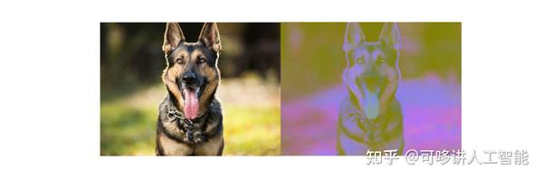 颜色、形状和纹理：使用 OpenCV 进行特征提取 - 知乎