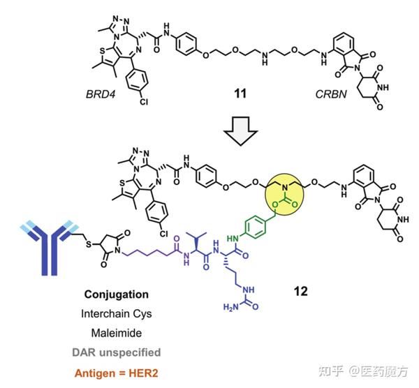 PROTAC偶联热潮来袭！一文读懂DAC设计要点、代表性案例 - 知乎