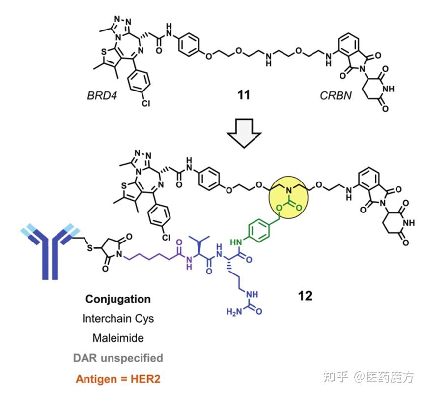 PROTAC偶联热潮来袭！一文读懂DAC设计要点、代表性案例 - 知乎