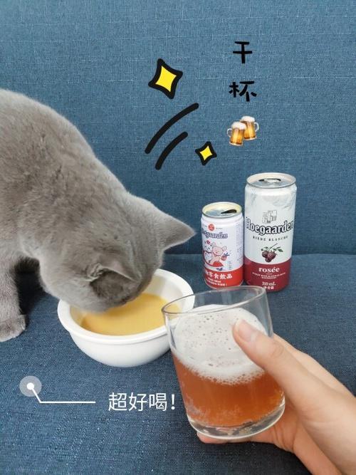 给猫喝酒会怎样:给猫喝酒会有什么反应 知乎