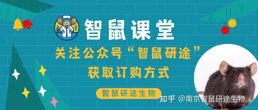 转基因鼠 | OT1小鼠介绍 - 知乎