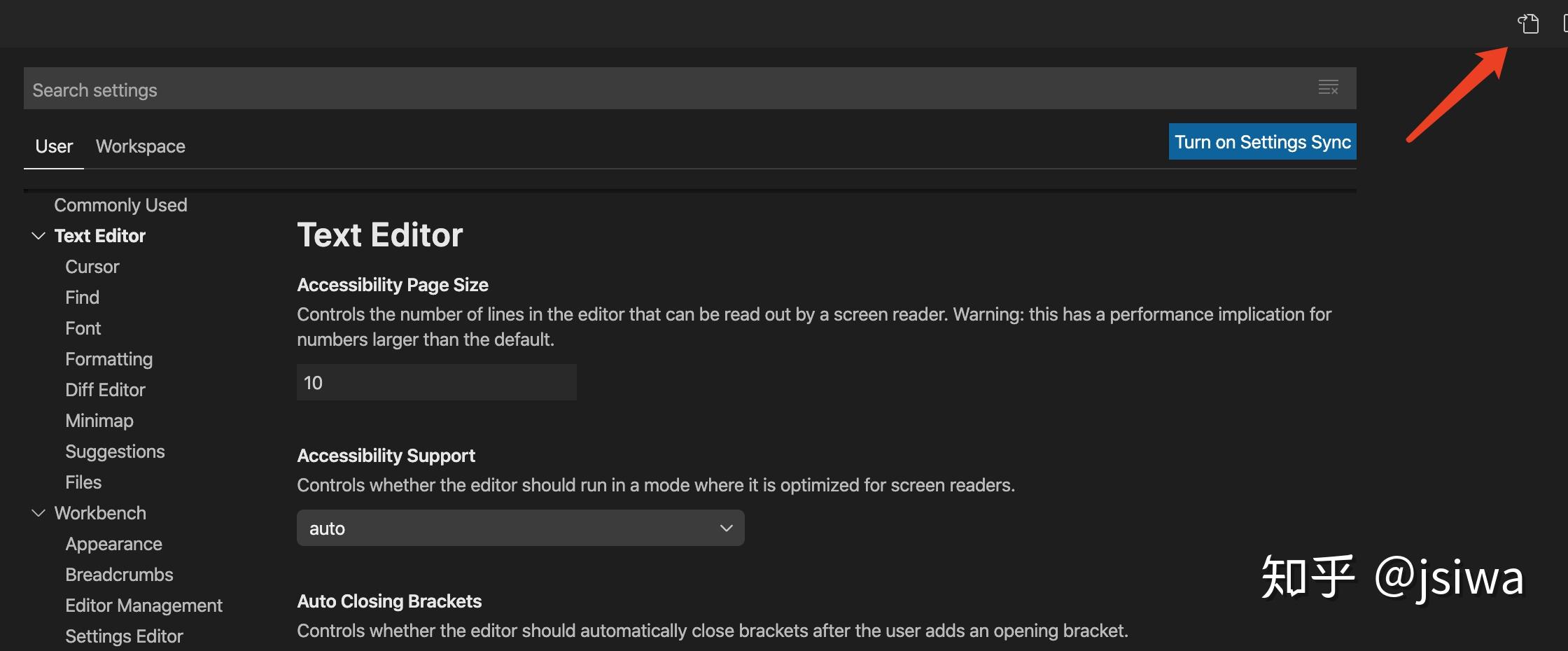 VScode 自定义设置「settings.json」 - 知乎