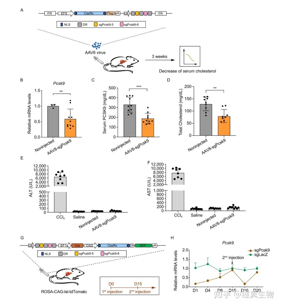 CasRx｜基于CRISPR/Cas系统的RNA编辑神器CasRx介绍 - 知乎