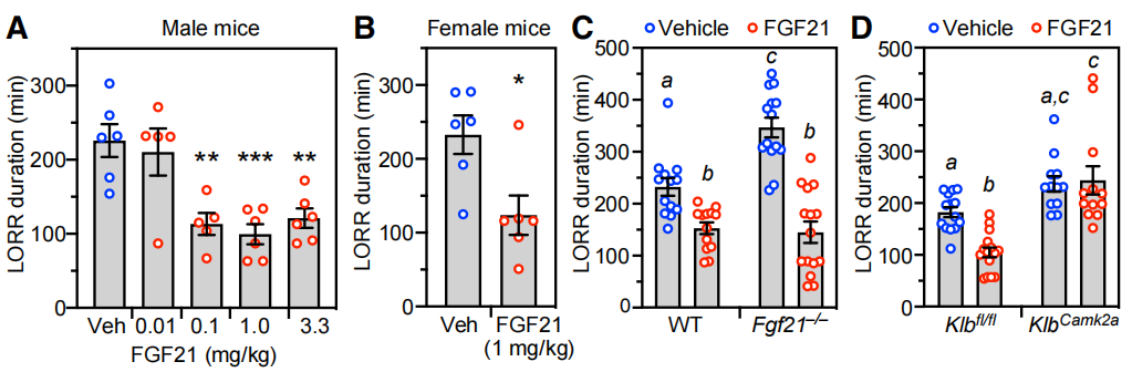 肝脏自带“不上脑的解酒药”！科学家发现肝脏可分泌FGF21，加速酒醒作用 - 知乎