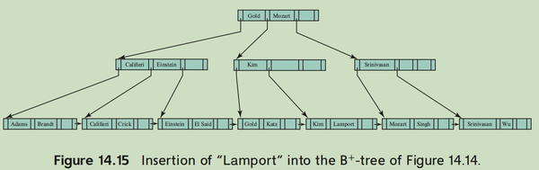 CMU 15445 Project2 B+TREE | 简单的谈一谈B+树 - 知乎