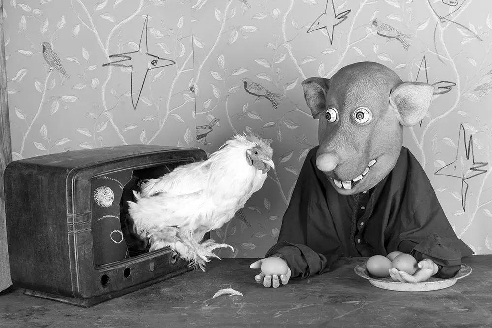Roger Ballen | 全集：这里没有我们可以参考的世界（或有不适，谨慎阅读） - 知乎