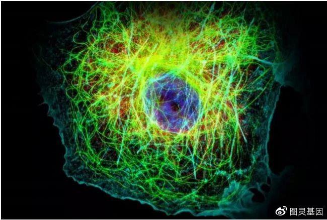 荧光显微镜图像去卷积和多图融合技术，提升荧光显微镜成像效率数千倍 - 知乎