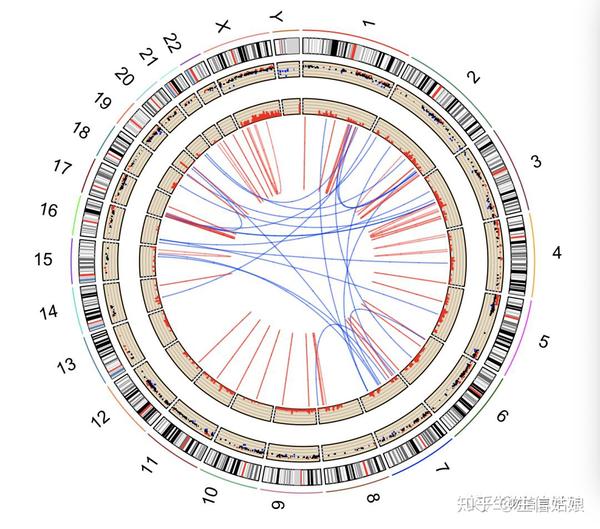 用R画circos图及代码 - 知乎
