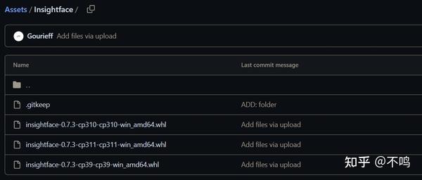 ComfyUI_Insightface等必要项安装 - 知乎
