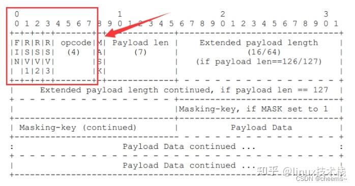 一文带你秒懂 字节序(byte order)，比特序(bit order)，位域(bit field) - 知乎