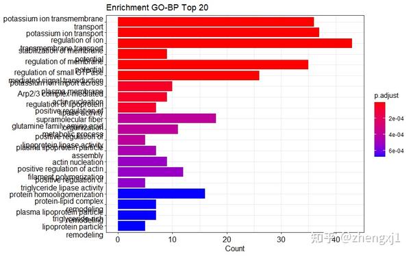 R语言与生物信息学 - 知乎