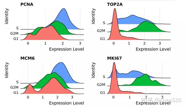 Seurat亮点之细胞周期评分和回归 - 知乎