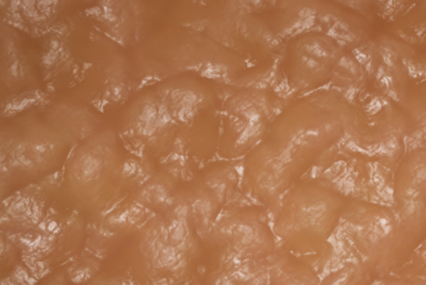 UE4实时虚拟角色材质篇之Skin Material（一） - 知乎